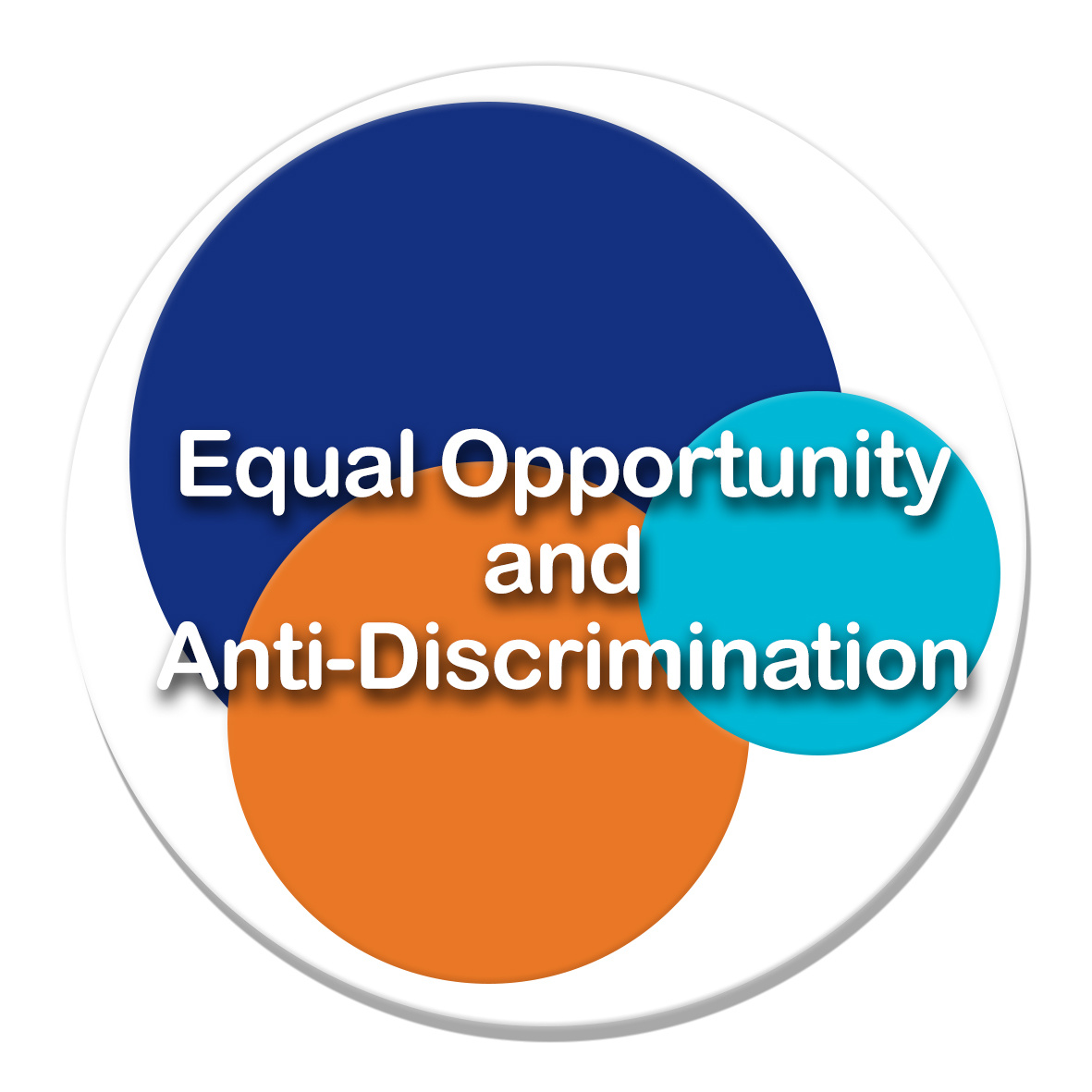 Staffing Professional Certification Program